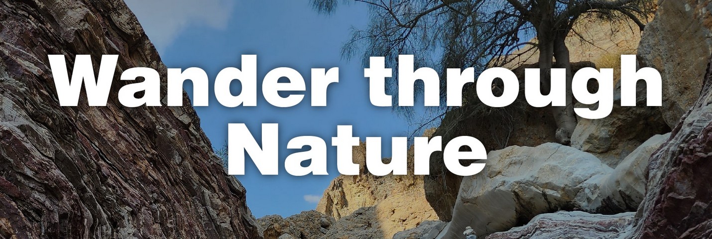 Wander through Nature | Sharjah Ladies Club